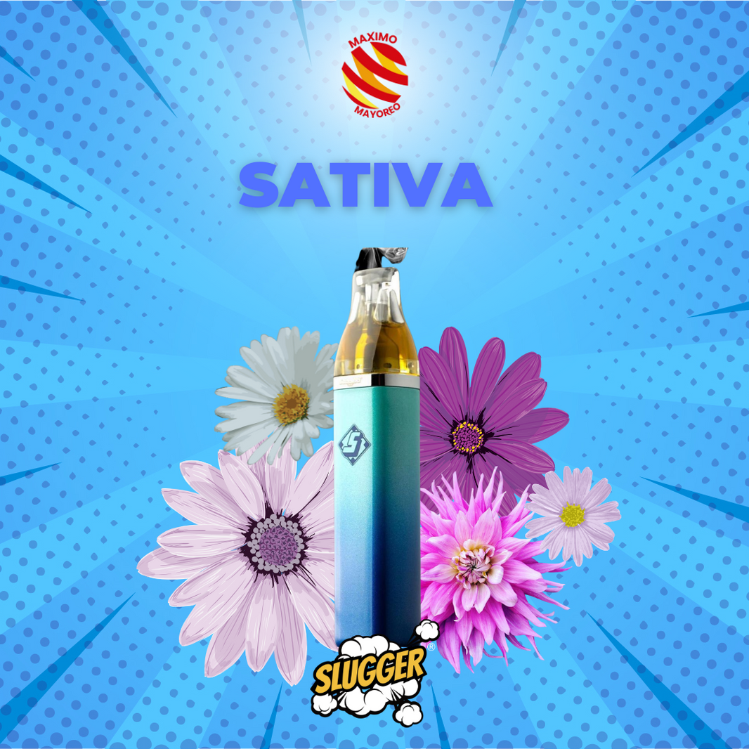 WAX – maximomayoreo